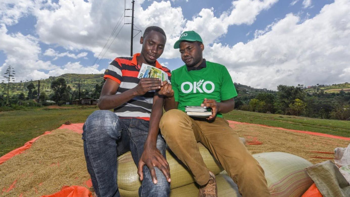 OKO raises $1.2 million to bring insurance to smallholder farmers ...